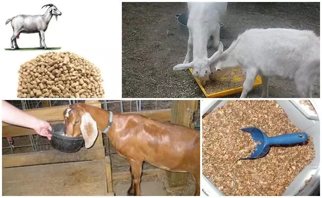 годування кіз