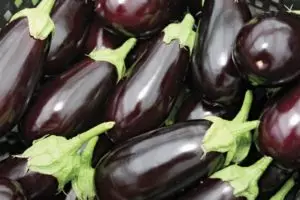 Top 15 eggplant iche maka polycarbonate griin haus, na-eto na nlekọta, atụmatụ ọdịda