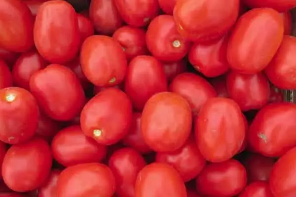 стиглі томати