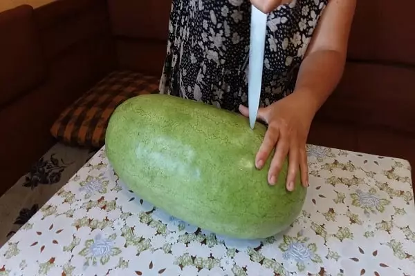 Ukufika kwe-watermelon