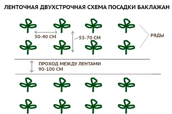 Ascendị mfe