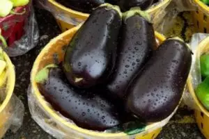 Tlhaloso le litšobotsi tsa eggplant Vera, kotulo, li hola le tlhokomelo