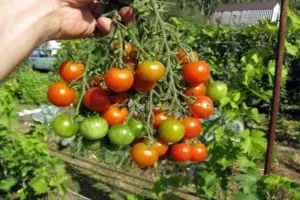Pomidorų pomidorų pomidorų ir jo charakteristikų aprašymas