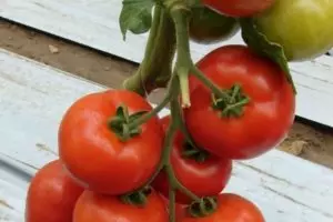 Beschreiwung vun der Varietéit vun Tomate Micah, seng charakteristesch an nozeginn