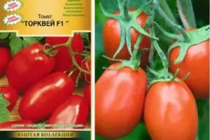 Beskrivelse av tomat Tomat Tomat og dens egenskaper