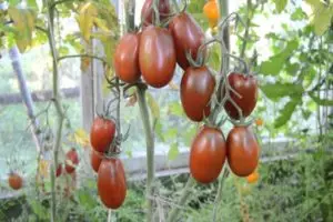 Beschreiwung vun der Varietéit vun Tomate Plum schwaarz, seng charakteristesch