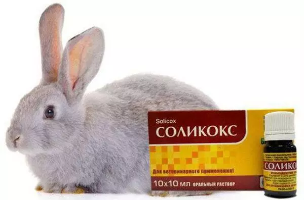 Solikox инструкции за употреба за зайци
