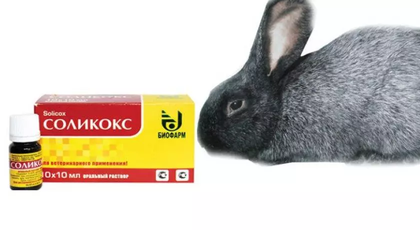 Инструкции за соликокс за употреба за зајаци