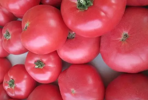 Saýlawda pomidorlar
