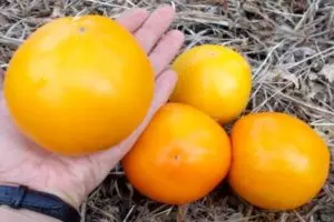 Характеристика та опис сорту томату Гігант лимонний, його врожайність