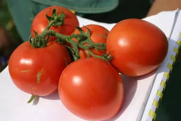 Tomates sabrosos