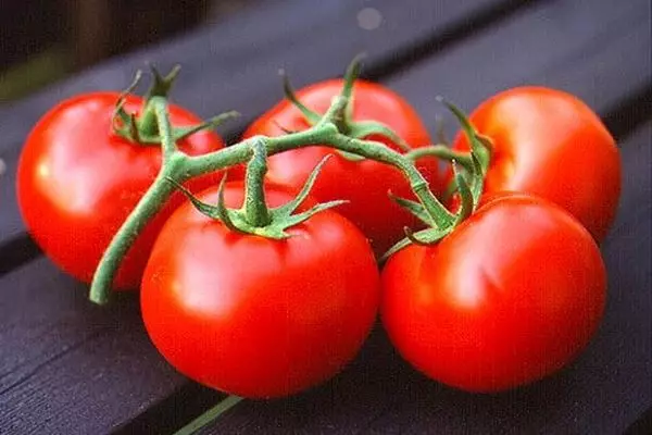 Çandiniya tomato çîroka berfê
