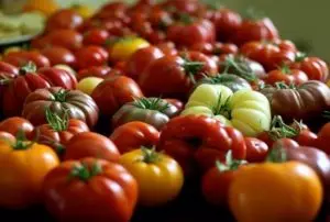 Karakteristično i opis varijata rajčice japanske rakove