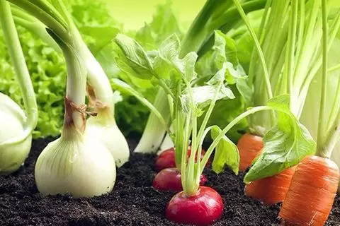 Légumes à côté
