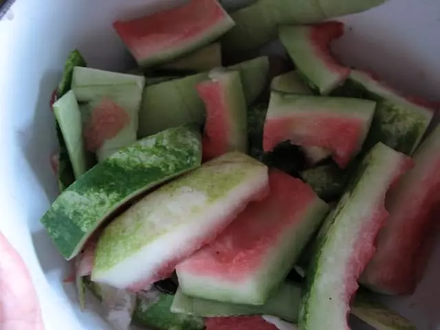 Watermeloen kurken