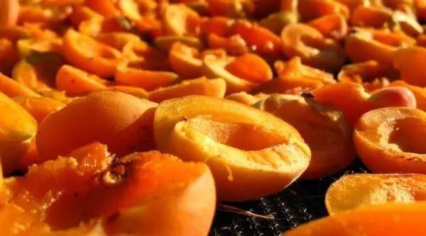 Kuyanika Apricot