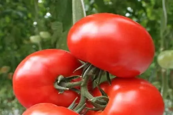 Variétés tomat