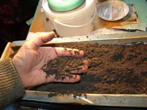 Làm thế nào để chuẩn bị mặt đất cho cây con của cà chua ở nhà bằng tay của chính họ