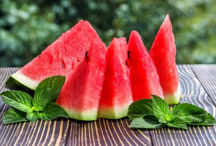 Watermelon solk