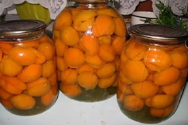 Apriccot le masapo