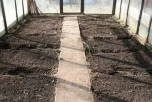 Jak připravit půdu ve skleníku pod rajčat na jaře