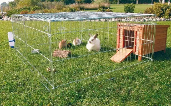 Budovanie Aviary pre králiky to urobia sami a chov doma