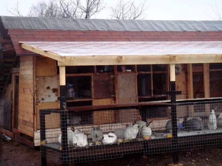 Building Aviary para los conejos lo hace usted mismo y crianza en casa