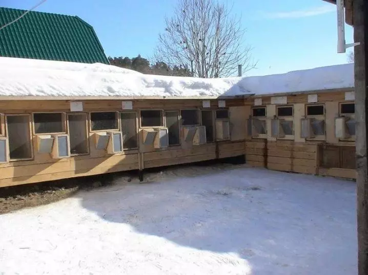 ساختمان Aviary برای خرگوش ها آن را انجام دهید و در خانه پرورش دهید
