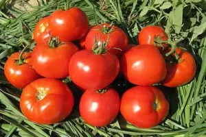 Description de la variété de la décharge de tomates et de ses caractéristiques