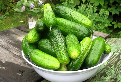 ताजे cucumbers