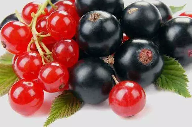 Berries don compote