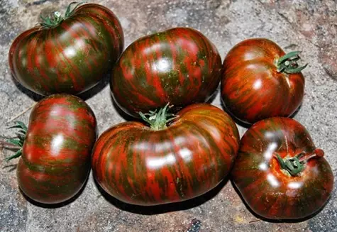 Kutaridzika tomato mitsetse chokoreti