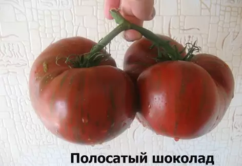 Tomato Vintage e tobileng chokolete