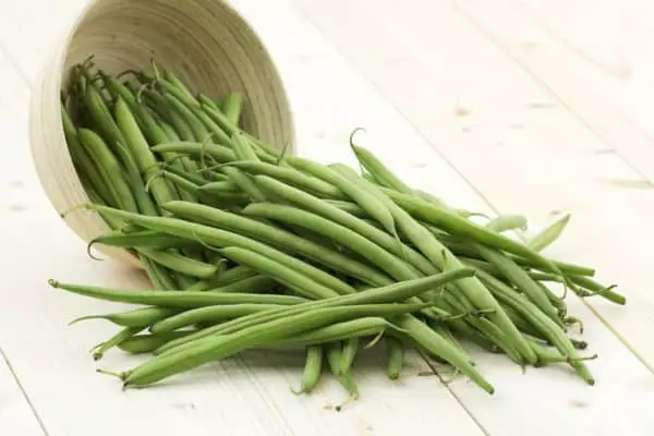 Kacang asparagus mytoy.
