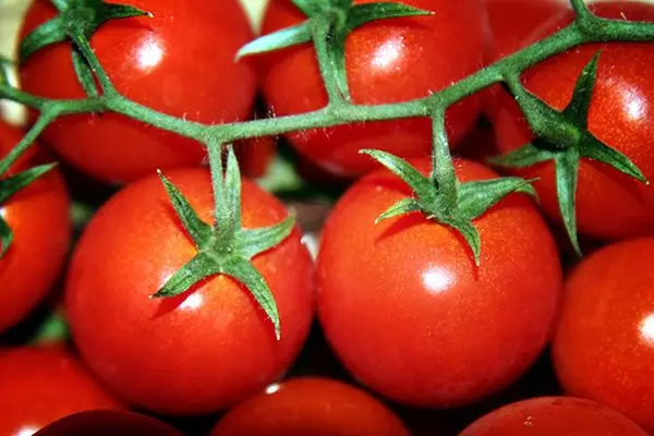 Tomaten en koken