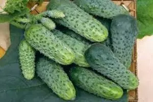 Kuvaus Cucumbers Liliput, sen ominaisuus ja saanto