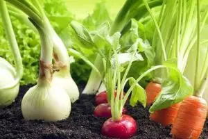Vad är bättre att plantera bredvid den bulgariska peppar i växthuset och öppna marken