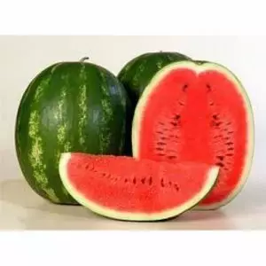 Descrição e características da melancia Carisan, rendimento e cultivo