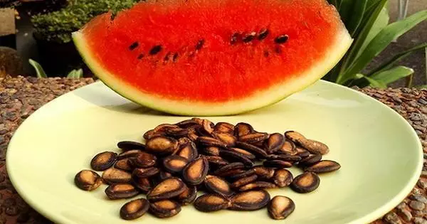 Samen von Wassermelone.