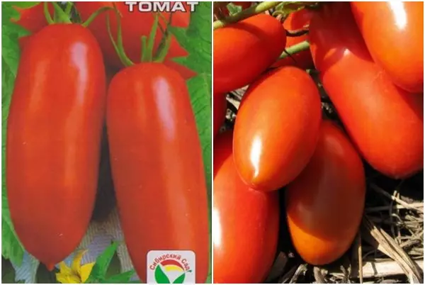 Pomidorų sėklos pomidorų supermodelis