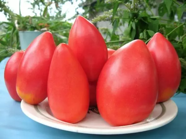 Tomato SuperModel នៅលើចានមួយ