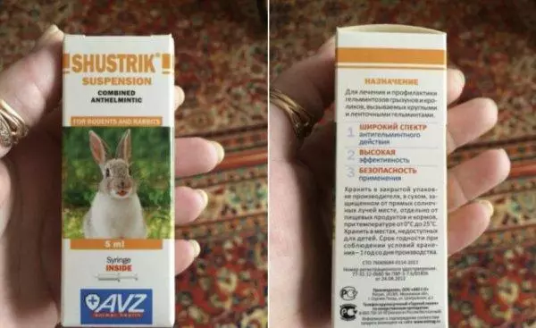 Лекови за зајаци: Листа на медицина за комплет за помош и нивната цел 9009_6