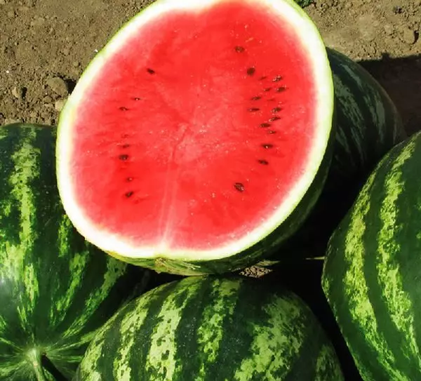 Ryp watermeloen
