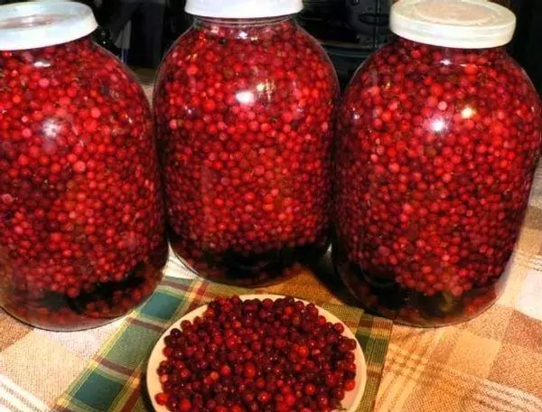 Qış üçün Lingonberry