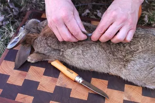 Cómo separar el conejo