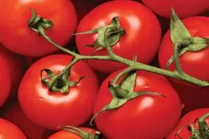 Tarasenko雜交番茄品種的特徵和描述，其產量