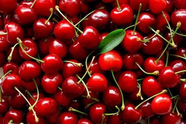 Vintage Cherry.
