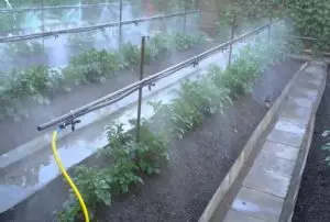 Automatisches Bewässerungssystem des Gewächshauss mit ihren eigenen Händen