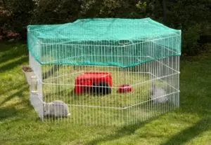 Градење на птичар за зајаци го прави тоа сами и одгледување дома
