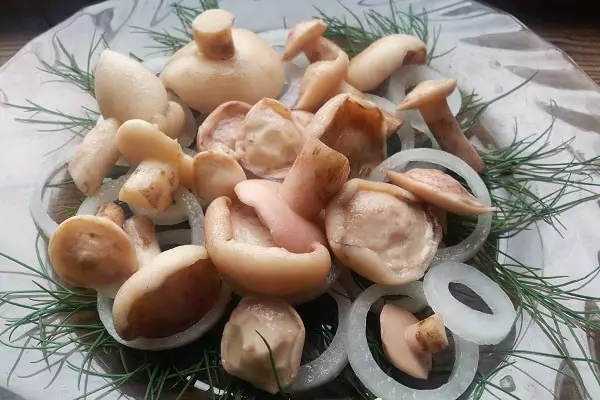 醃製蘑菇與弓和綠色